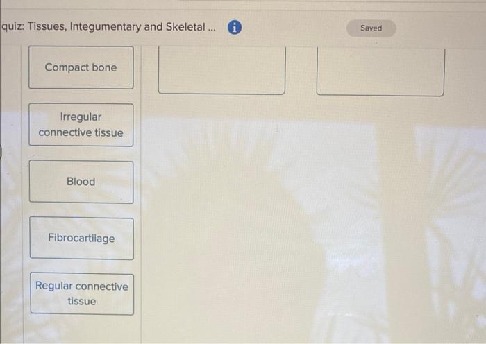 Group Each Of The Following Tissue Types To One Of The Four Categories Group Each Of The Following Tissue Types To One Of The Four Categories