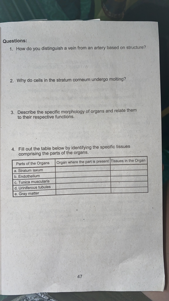ions 1 How Do You Distinguish A Vein From An Artery Based On Structure 2 W StudyX